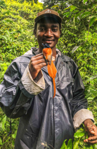 Biophilic Voices - Biophilic Conversations